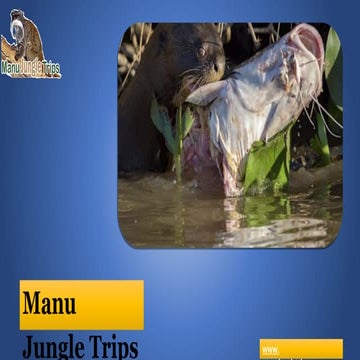 Manu Jungle Trips, Manu National Park PE | PDF