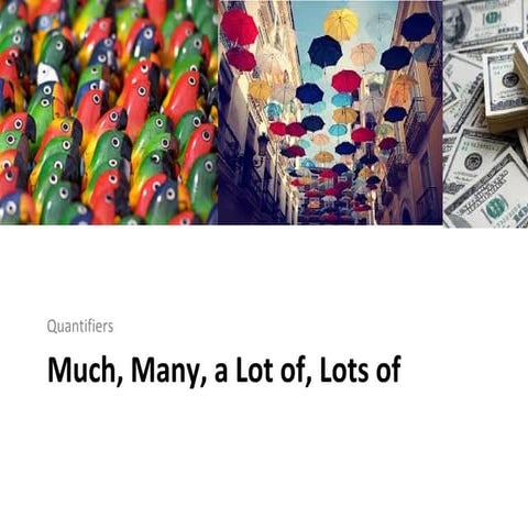 Many, Much, Lots | PPT