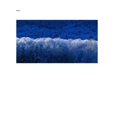 3D Andrid | PDF