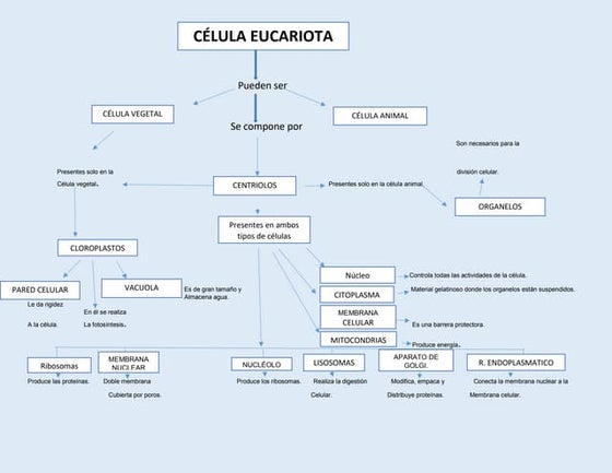 Lesly928174 presentations