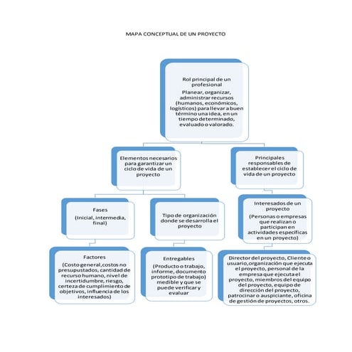 Mapa conceptual del rol principal de un profesional | DOCX