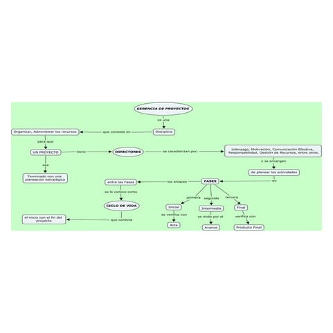 Mapa conceptual | PDF
