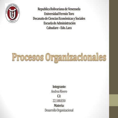 Mapa conceptual procesos organizacionales | PDF