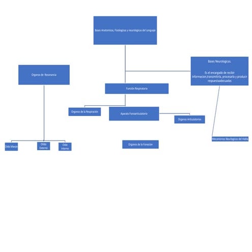 Mapa Conceptual.docx