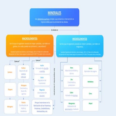 Mapa Conceptual sobre los macros y micros nutrientes | PDF