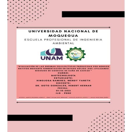 Informe n°02 informe de uso del software mega dna | PDF