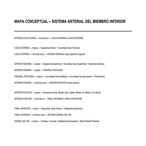 Comprehensive Concept Map of the Arterial System in the Lower Limb | PDF