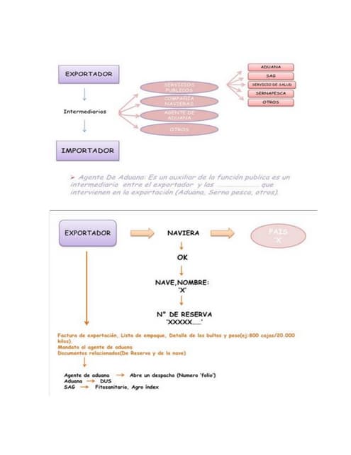 Mapa mental comercio exterior | PPTX