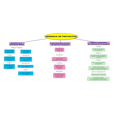 Mapa conceptual de gerencia de proyectos | PDF