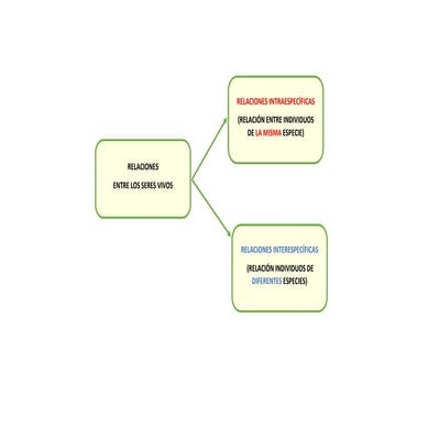 MAPA CONCEPTUAL DE LAS RELACIONES ENTRE LOS SERES VIVOS ...