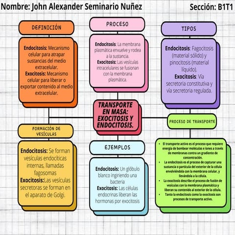 Mapa Conceptual diferencial de Transporte en masa exocitosis y ...