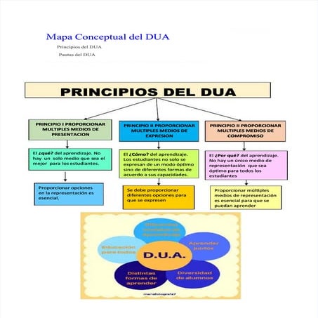 Mapa conceptual dua | PDF
