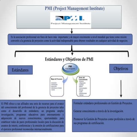 Mapa Conceptual del PMI | PPT