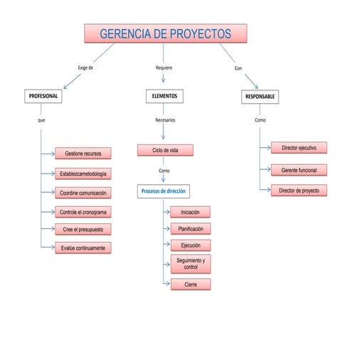Mapa conceptual gerencia de proyectos | DOCX | Business | Business and Finance