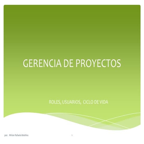 Mapa conceptual gerencia de proyectos | PPTX | Business | Business and ...
