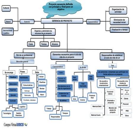 Mapa conceptual gerencia de proyectos | PDF