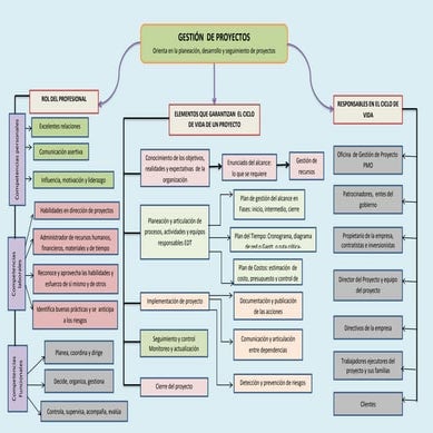 Mapa conceptual gerencia y ciclo de vida de proyectos | PDF | Business | Business and Finance