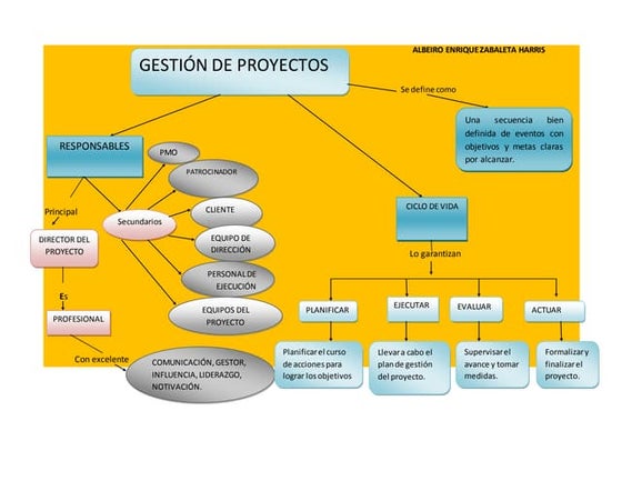 El rol del profesional | PPT