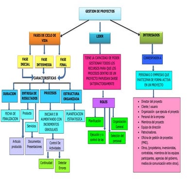 MAPA CONCEPTUAL GESTION DE PROYECTOS | DOCX