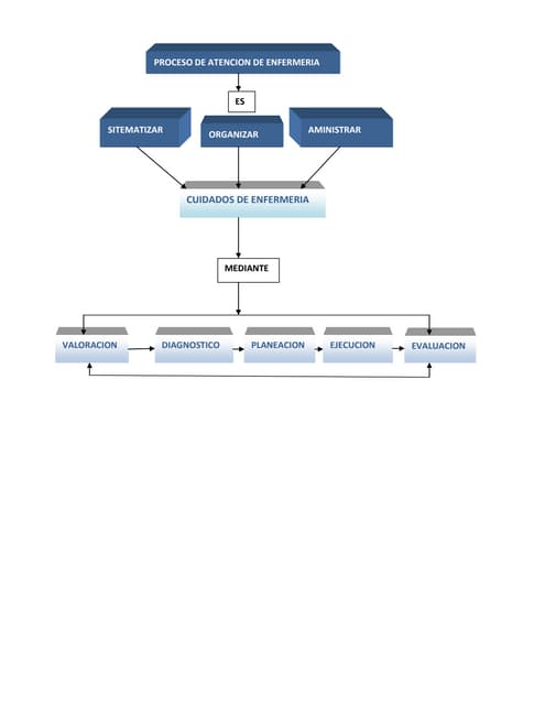 Mapa Conceptual Ippae | PDF