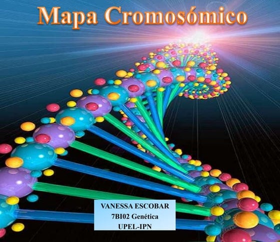 Mapa genetico humano | DOC