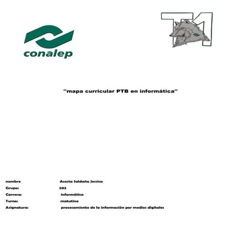 Mapa curricular carrera de informatica | PDF | Computing | Technology & Computing