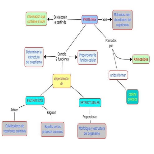 Mapa Conceptual Simple De Proteinas