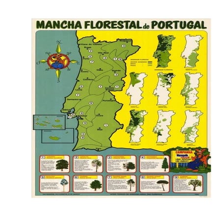 Mapa florestal portugal | DOC