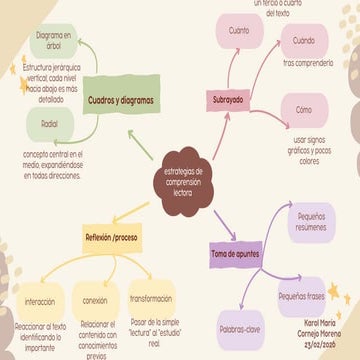 Estrategias de Comprensión Lectora: Diagramas y Técnicas de Estudio | PDF