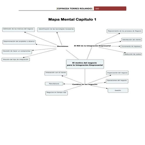 Mapa mental capitulo 1 | PDF
