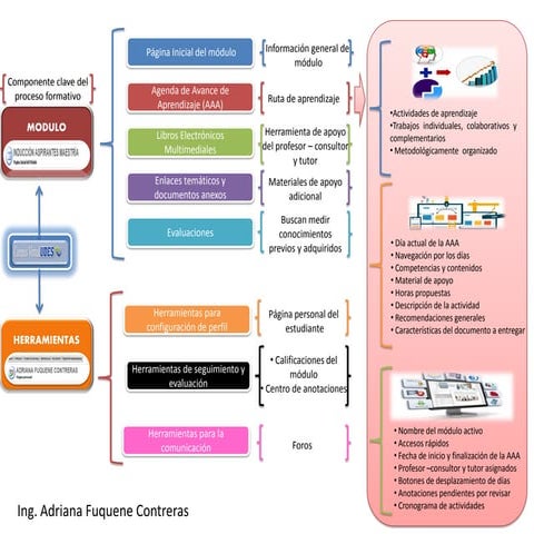 Mapa mental de la aaa | PDF