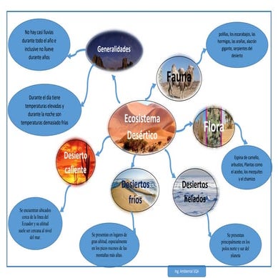 Mapa mental, generalidades del desierto | PDF