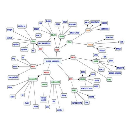 PHYSICAL DESCRIPTION MIND MAP | DOCX