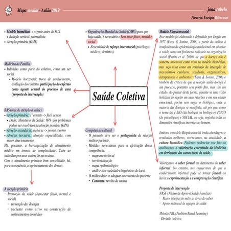 Mapa mental saúde coletiva.pdf | Medical Health
