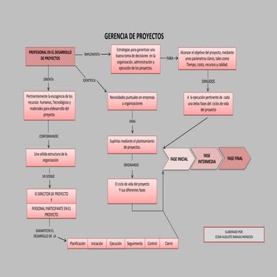 Mapa gerencia de proyectos | PDF
