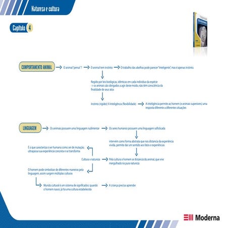 mapas_conceituais_Filosofia_capitulo_4.pdf