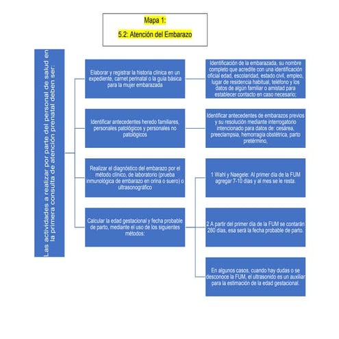 Mapas conceptuales. MAterno infantil..docx
