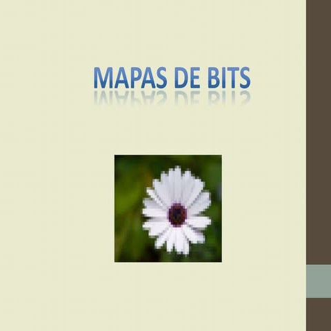 Mapas de bits | PPTX