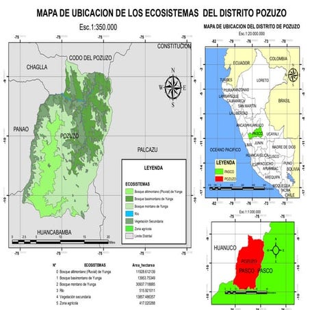 Mapas del distrito de pozuzo | PDF