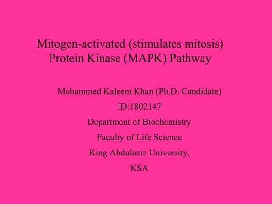 Jak stat signaling pathway | PPT