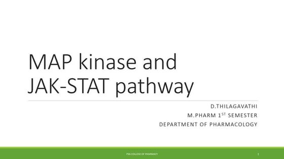 MAPK pathway, | PPT