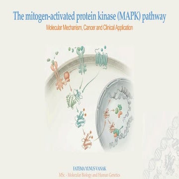 MAPK -Ras pathway | PPTX