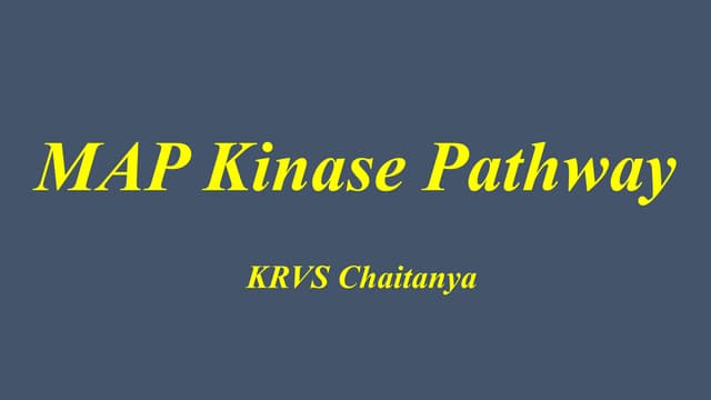 Mapk Pathway Pptx