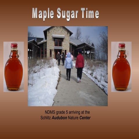 Maple Sugaring Gr5 | PPT