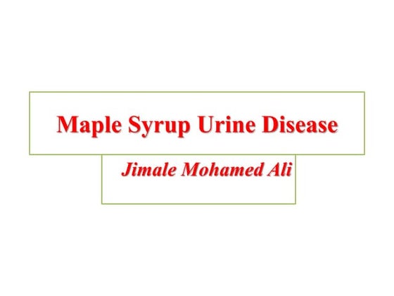 Maple syrup urine diseaese bobby mattes | PPT