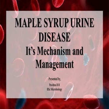 Maple Syrup Urine Disease | PPTX