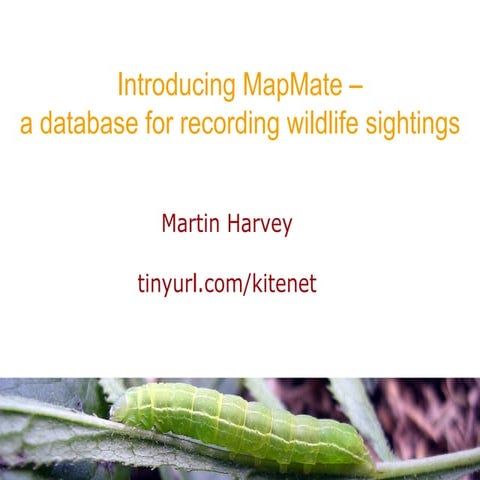 MapMate wildlife recording database | PPT