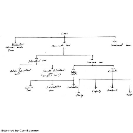 Map of branches of law | PDF