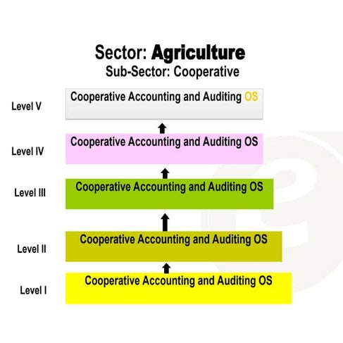 Map of Cx jxzvnzoop counting & auditing.ppt