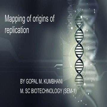 Mapping of origins of replication | PPTX